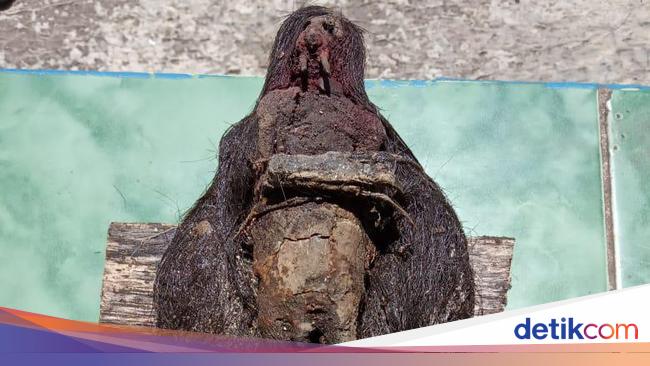 Geger Temuan Jenglot dan Penelitian DNA yang Mengejutkan