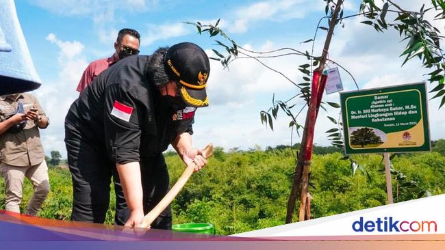 KLHK Tanam 150 Batang Pohon di Persemaian Modern Rumpin, Bogor