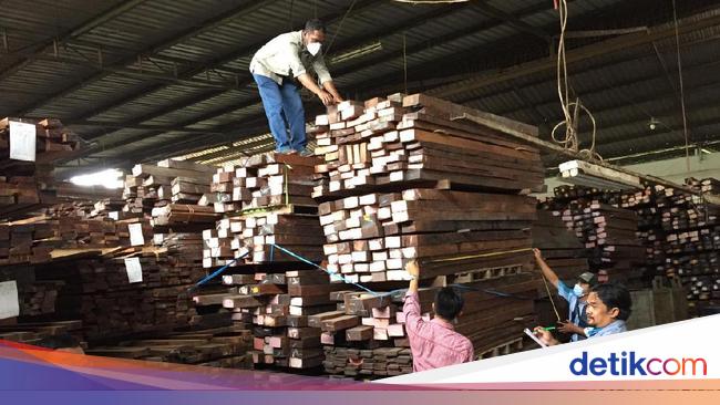 Kepemilikan Kayu Ilegal, Gakkum KLHK Jabalnusra Amankan Dua Tersangka