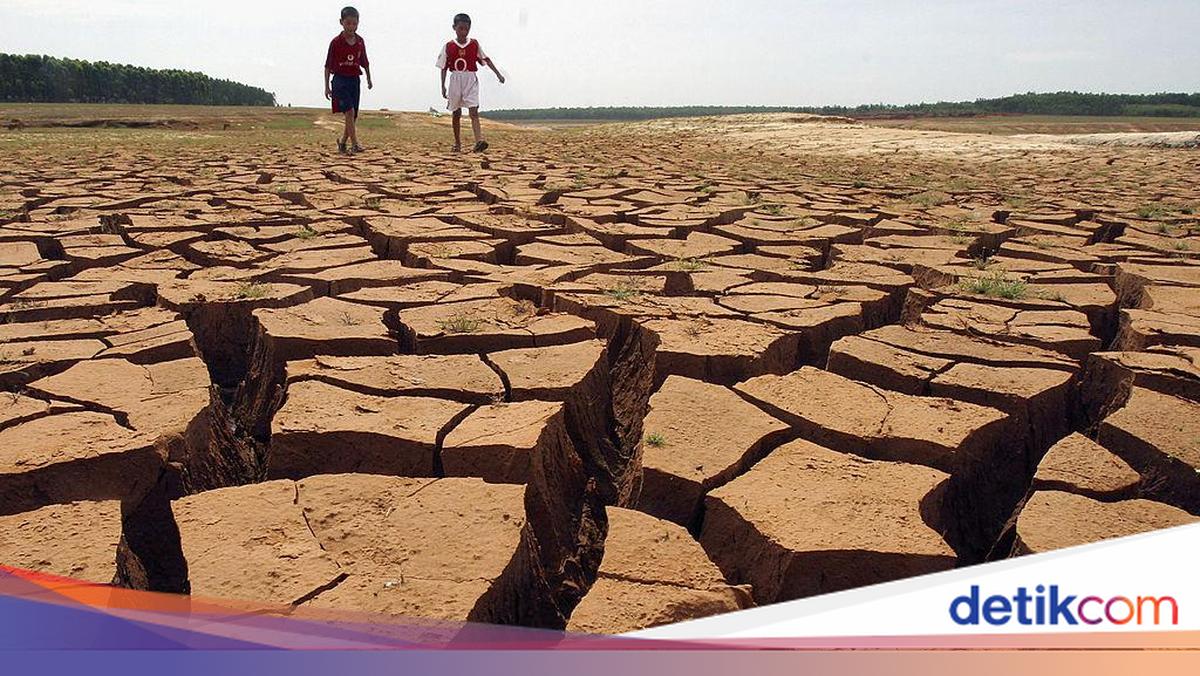 Kekeringan: Pengertian, Jenis-jenis, Penyebab, dan Dampaknya
