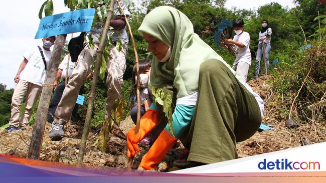 Melihat Aksi Tanam Sejuta Pohon di Lahan Longsor