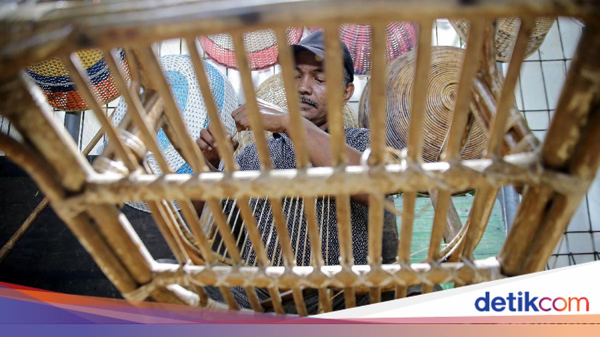 Mengenal Rotan Hasil Hutan Bahan Pembuatan Mebel dan Daerah Penghasilnya