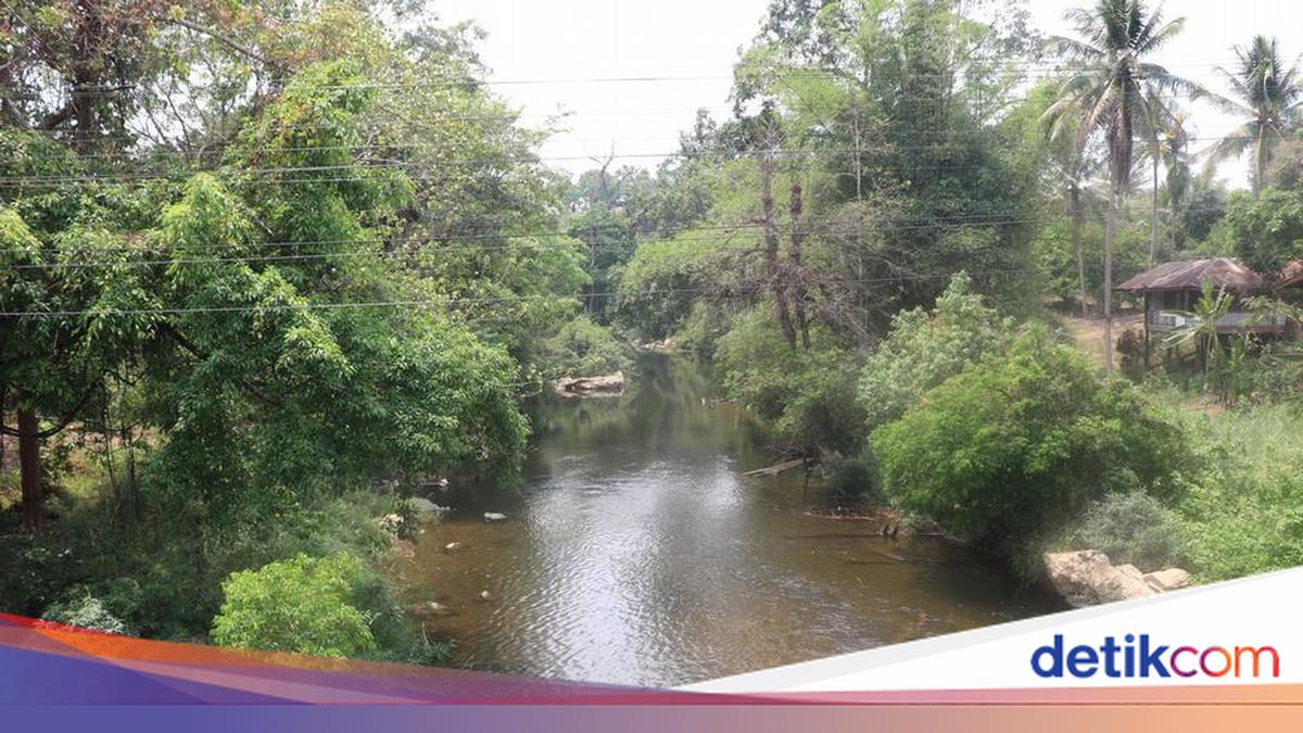 677 Orang Kabur ke Thailand Usai Myanmar Serbu Pusat Penipuan Online