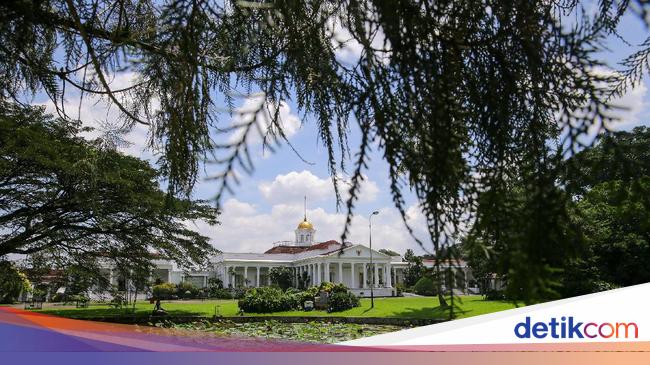 Ini 10 Kegiatan Seru yang Bisa Dilakukan di Kebun Raya Bogor