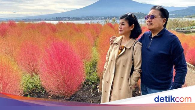 Perilaku Hotma Sitompul yang Bikin Keluarga Desiree Tarigan Tersinggung Perilaku Hotma Sitompul yang Bikin Keluarga Desiree Tarigan Tersinggung