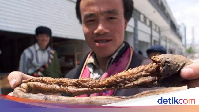 Duh! Makan Sup Penis Macan hingga Daging Monyet Bisa Memicu Virus Baru
