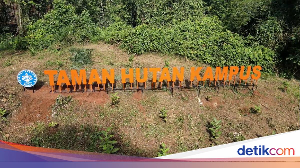 Segar! IPB Punya Taman Hutan Kampus di Dramaga