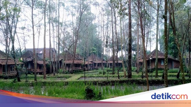 Desa Wisata di Garut, Tidur di Rumah Panggung, Menikmati Suara Jangkrik