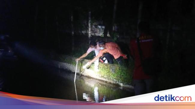 2 Bocah di Tulungagung Tewas Tenggelam dalam Kolam Ikan Koi