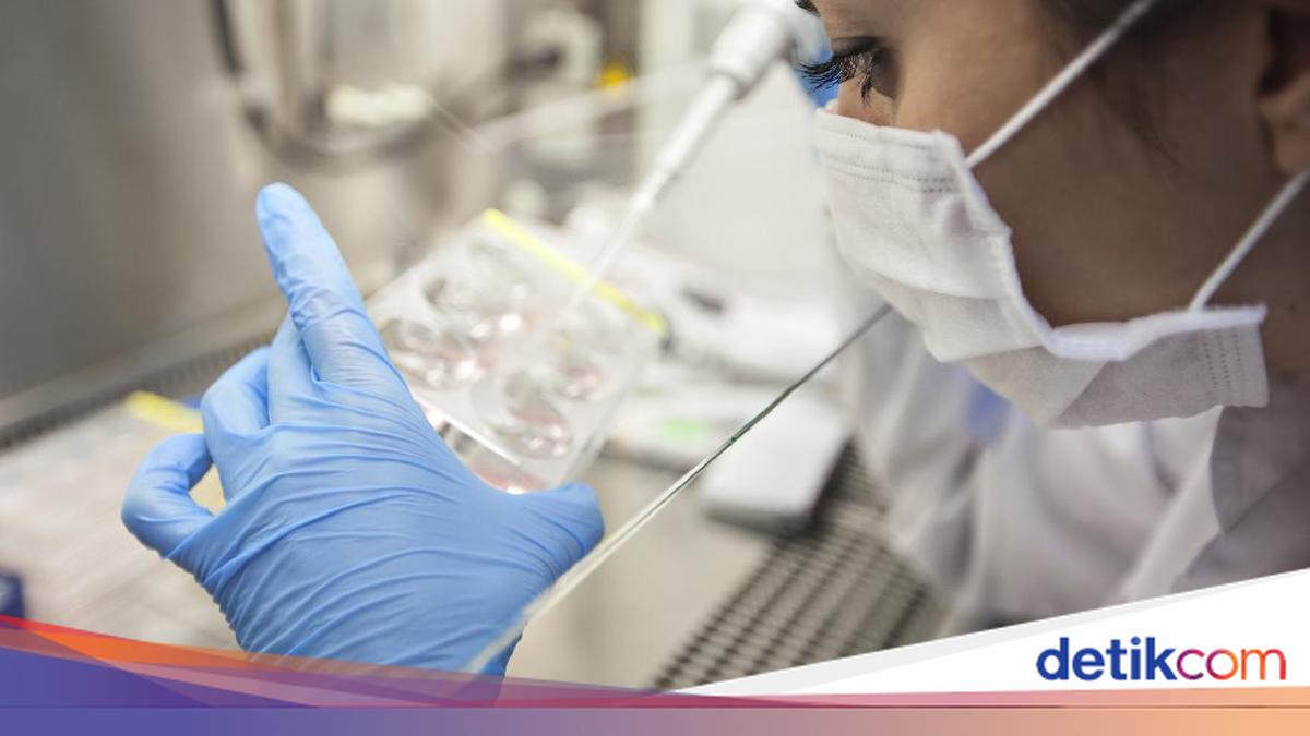 Mengenal Bioteknologi: Pengertian, Bentuk, Ciri-ciri, dan Contohnya
