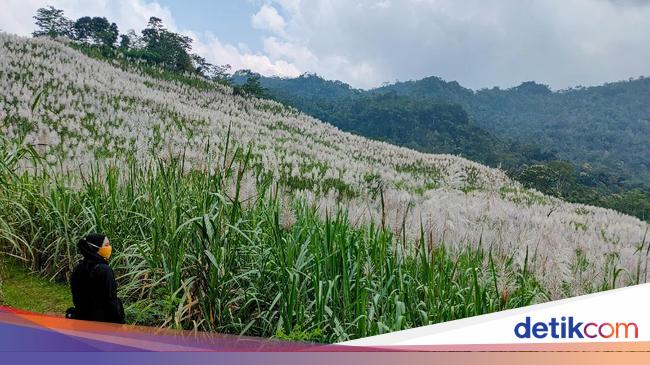 Foto: Bukan di Luar Negeri, Ini di Kulon Progo Foto: Bukan di Luar Negeri, Ini di Kulon Progo