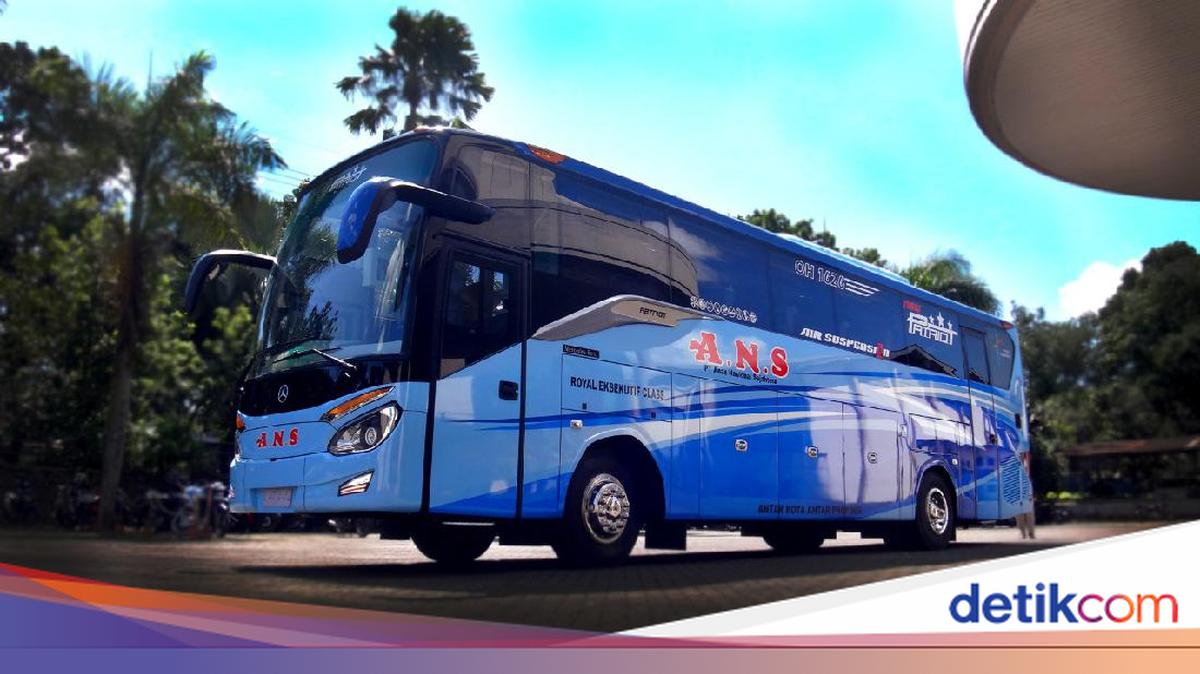 Mengenal Berbagai Jenis Bus di Indonesia: dari HD, SHD, HDD, DD, hingga UHD