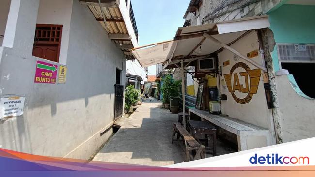 Monyet Lepas Tiba-tiba Serang Bocah hingga Guling-guling di Palmerah Monyet Lepas Tiba-tiba Serang Bocah hingga Guling-guling di Palmerah