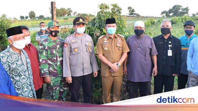 Rencana Bupati Kebumen Kembangkan Perkebunan hingga Kawasan Industri