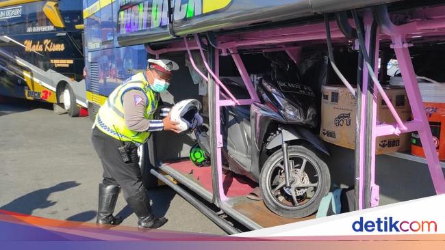 Pakai Truk Terlalu Mainstream, Ada yang Nekat Angkut Kerbau Dimasukkan ...