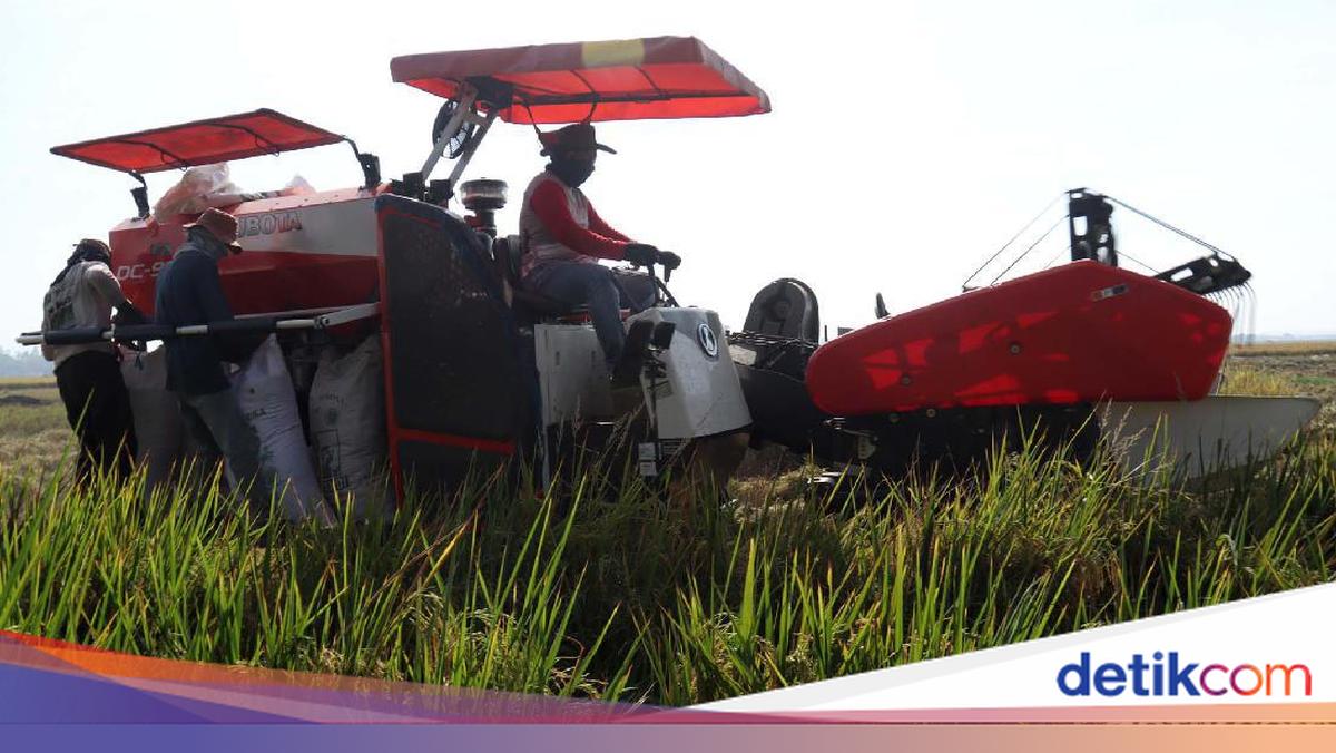 Apa Itu Musaqah? Begini Akad, Rukun, dan Syaratnya