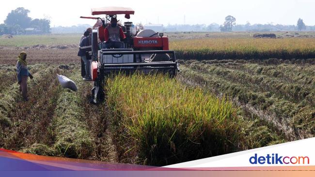 Salurkan Alsintan Modern, Kementan Bakal Kebut Proses Panen Usai Lebaran