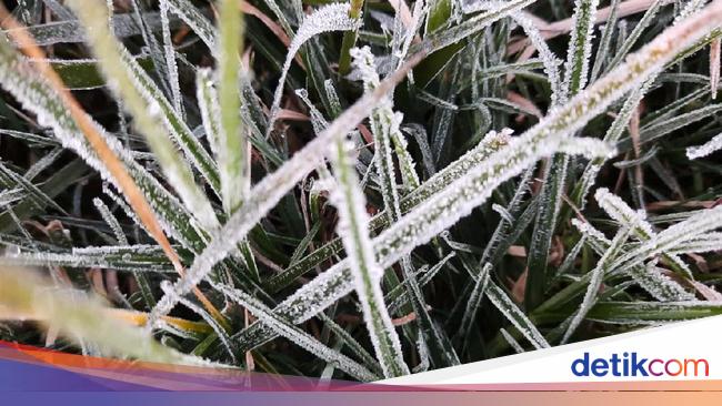Embun Es di Dieng Muncul Lebih Awal, Ini Pesan BMKG