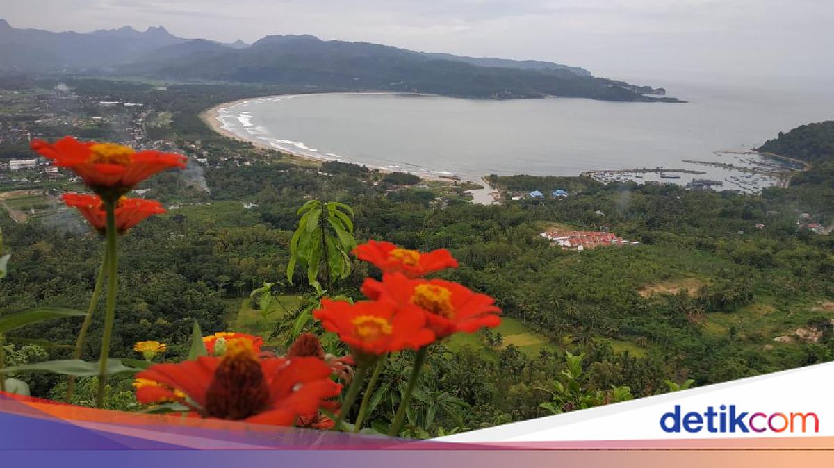 Ini Sejarah Pacitan yang Hari Jadinya Diperingati Setiap 19 Februari