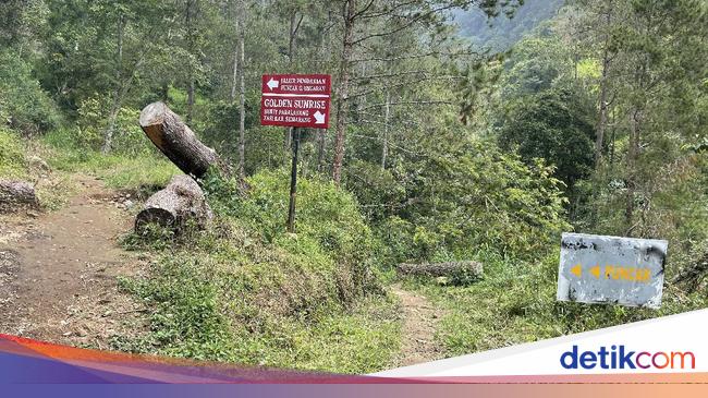 Mengenal Gunung Ungaran yang Ramah Buat Pendaki Pemula