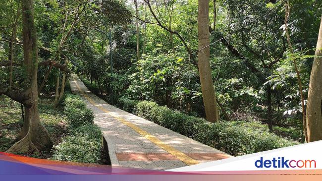 Rupa Hutan Mini Jakarta, Siap Menyambutmu di Libur Lebaran