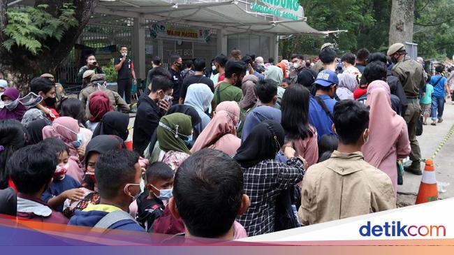 Pemkot Yakini Lahan Kebun Binatang Bandung Aset Daerah Pemkot Yakini Lahan Kebun Binatang Bandung Aset Daerah