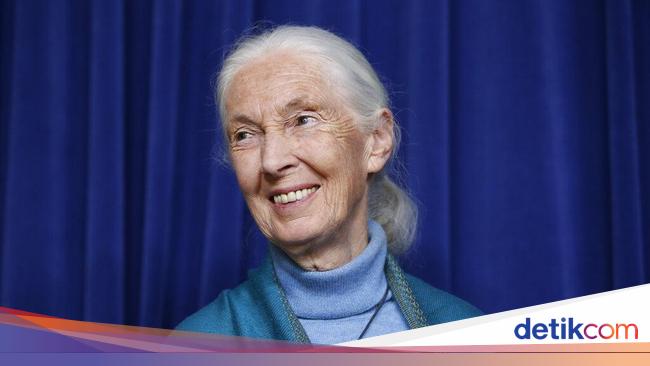 Peneliti Simpanse Jane Goodall Raih Penghargaan Templeton