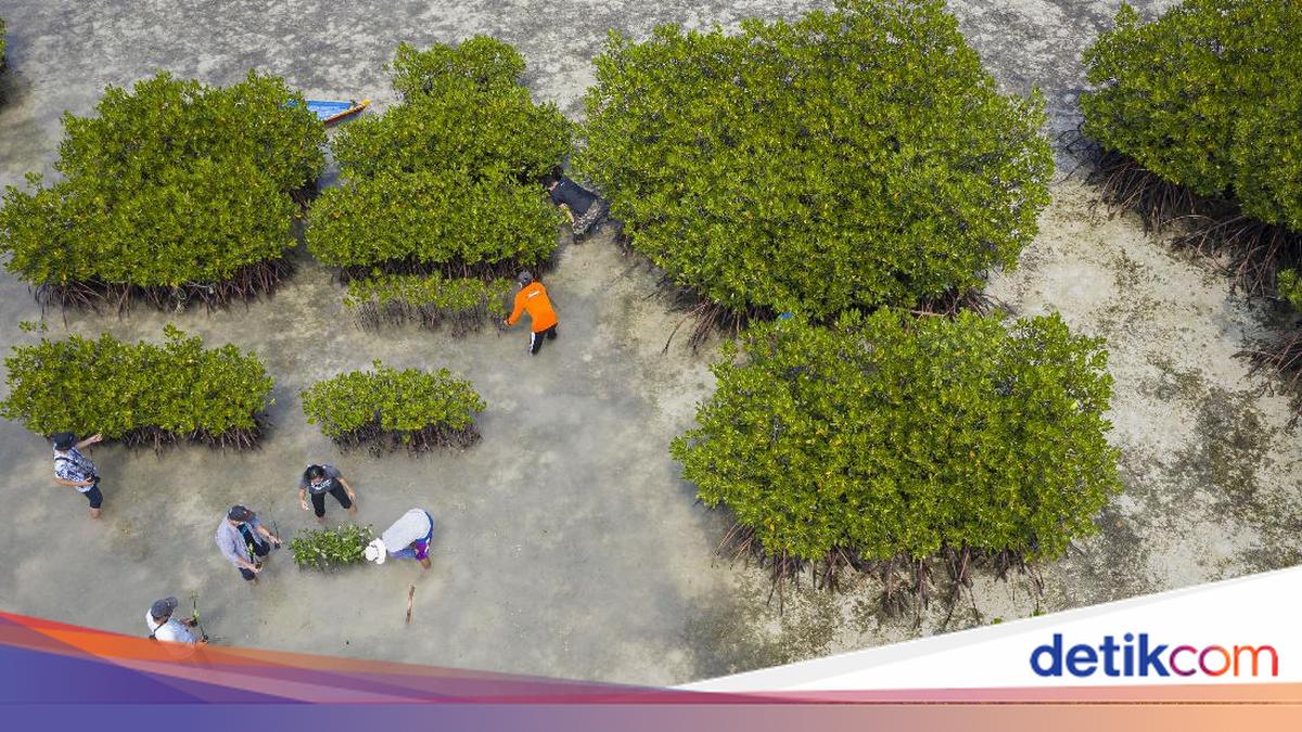 Pemerintah Putar Otak Cari Duit Rp 33 T buat Kelola Keanekaragaman Hayati