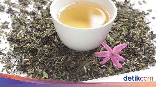 Ini Sebabnya Teh Putih Mahal Harganya dan Kaya Khasiat
