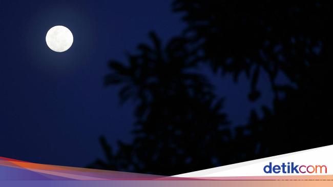 Melihat Keindahan Bulan Saat Sore di Langit Jakarta