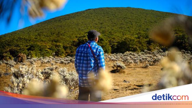 Mitos Gunung Gede Pangrango, Makam Raden Suryakencana, dan Istana Gaib
