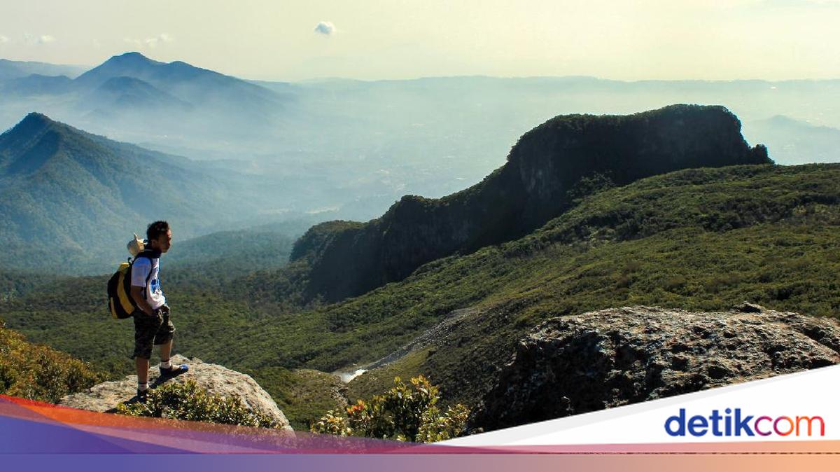 10 Fakta Gunung Gede Pangrango dan Daya Tariknya, Pendaki Wajib Tahu!