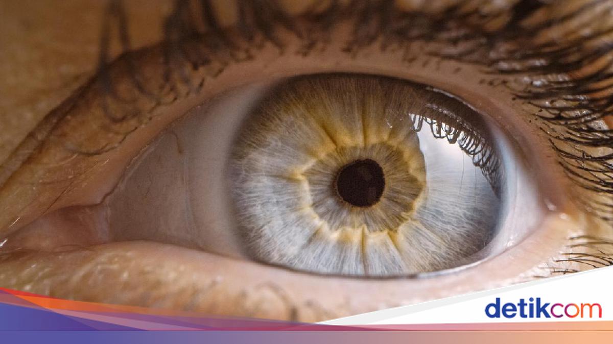 Benarkah Ukuran Pupil Mata Kita Berubah saat Bernapas? Ini Fakta Studinya