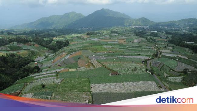 Desa Wisata Nampan Sukomakmur Magelang, Berlatar Gunung Sumbing nan Indah