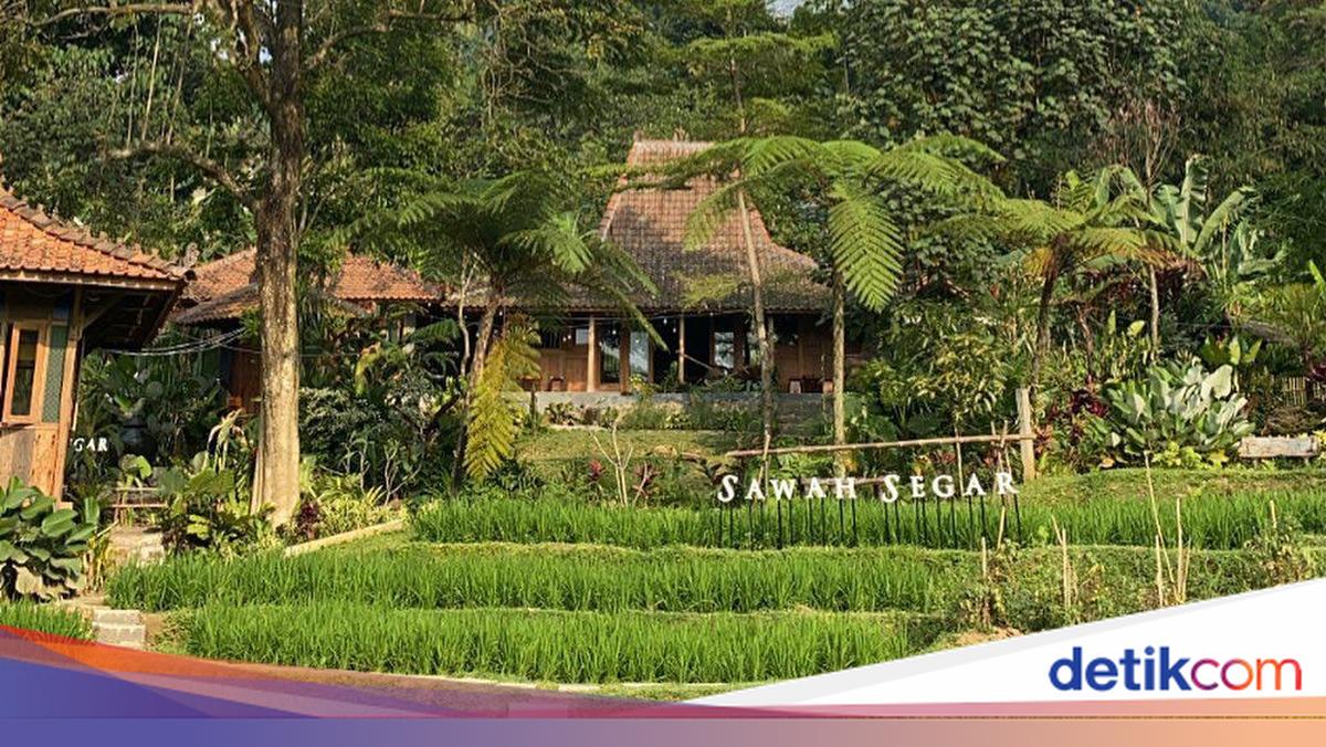 Porter Pengevakuasi Soe Hok Gie- 5 Rekomendasi Wisata Sentul