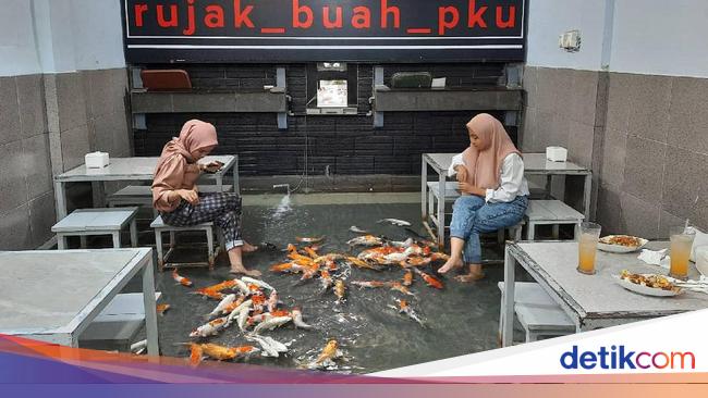 Viral Restoran Kolam Ikan Koi, Sensasi Makan Bersama Ikan Koi