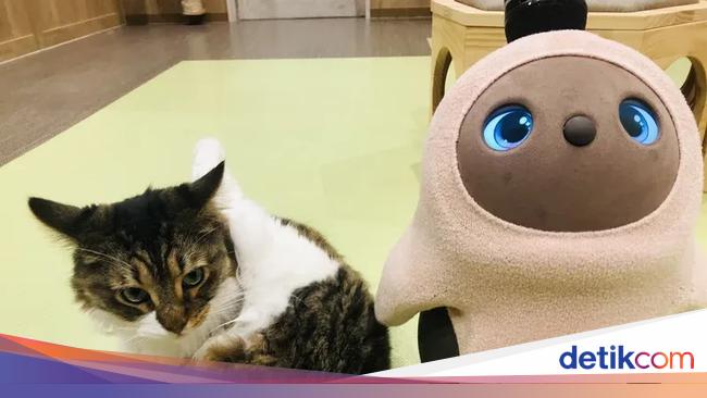 Pet Store Paling Gemas Sedunia, Bisa Peluk Robot Lucu dan Kucing