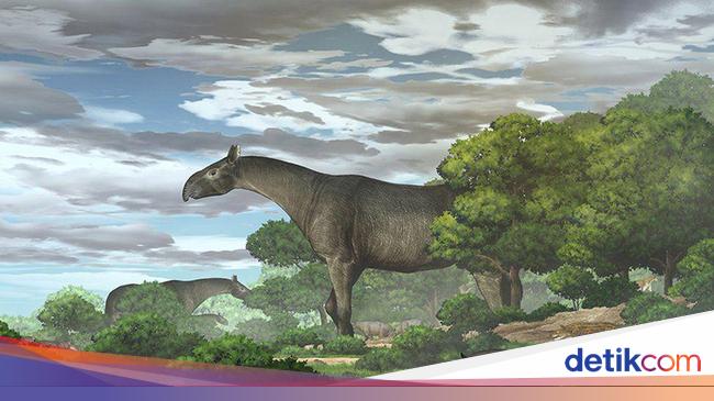 Fosil Badak Raksasa Ditemukan di China