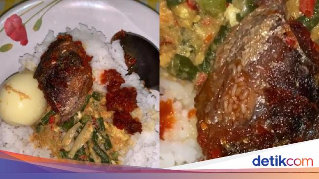 Jijik! Netizen Temukan Belatung di Kepala Ikan yang Lagi Dimakan