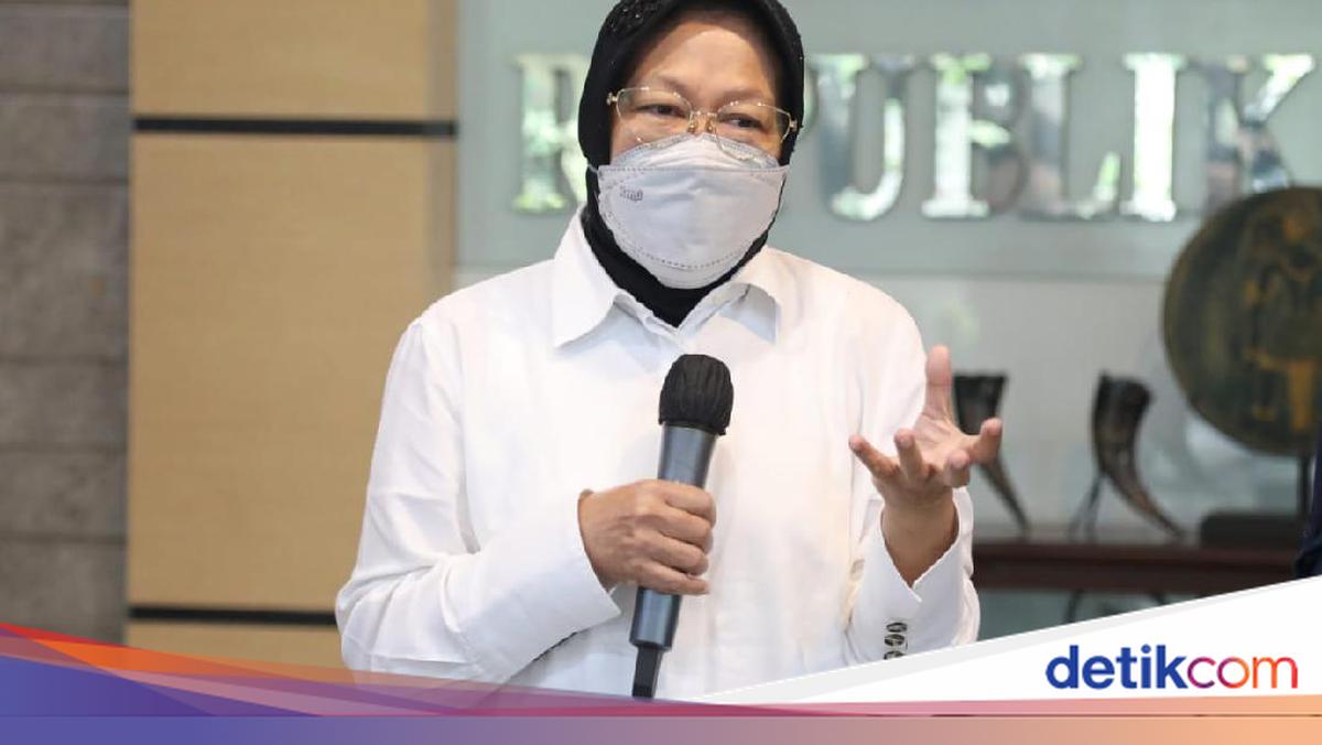 Jamu Pokak jadi Rahasia Mensos Tri Rismaharini Jaga Imun Tubuh di ...