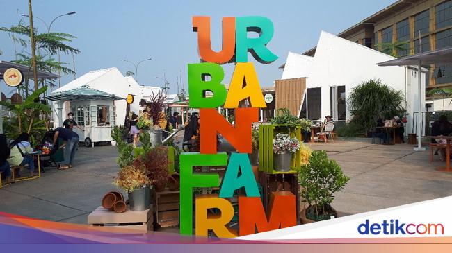 Review: Urban Farm, Tempat Makan Kekinian di Pantai Indah Kapuk
