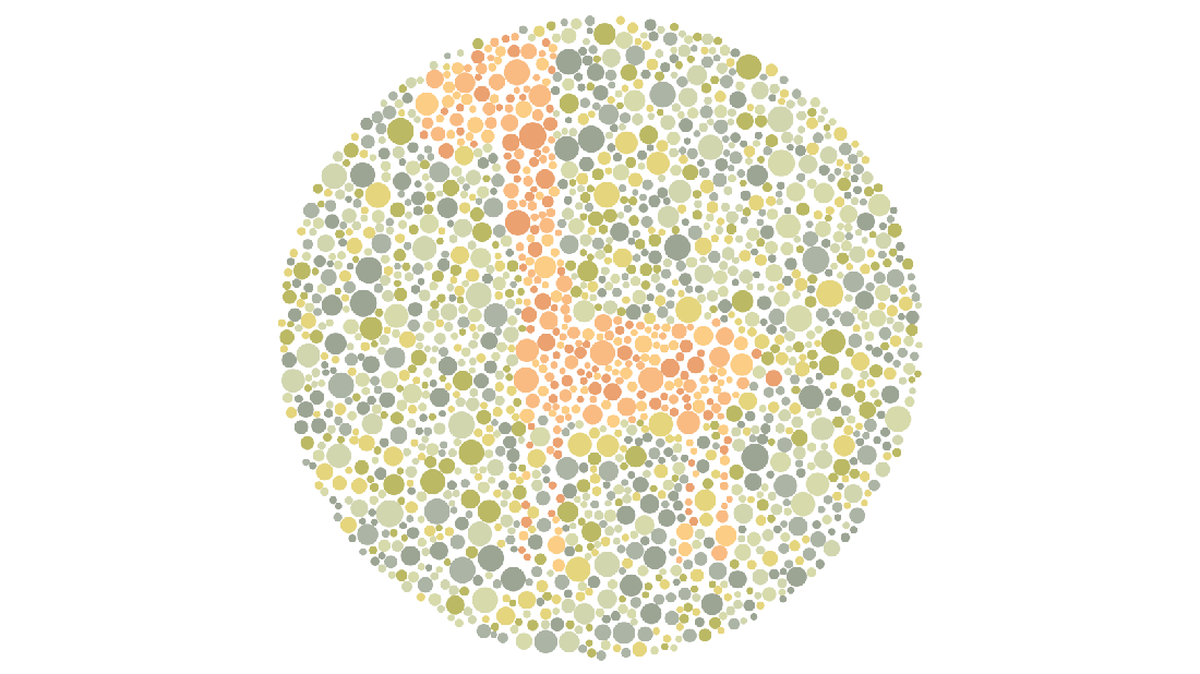 Kelihatan Nggak? Cuma yang Punya Mata Tajam yang Bisa Lihat Hewan di ...