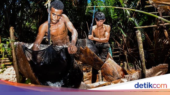 Melihat Pengolahan Sagu Secara Tradisional di Maluku