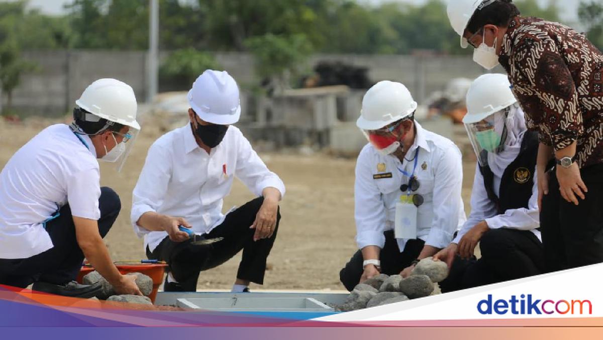 Dapat Instruksi Presiden, Mentan Sebut Industri Porang Terus Digenjot