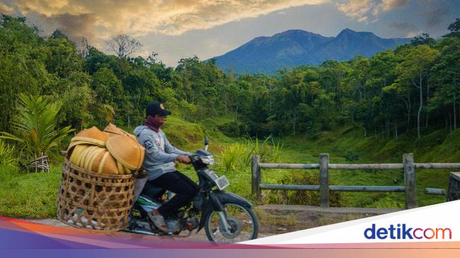 Lihat Lagi Desa Tetebatu Akan jadi Desa Wisata Dunia