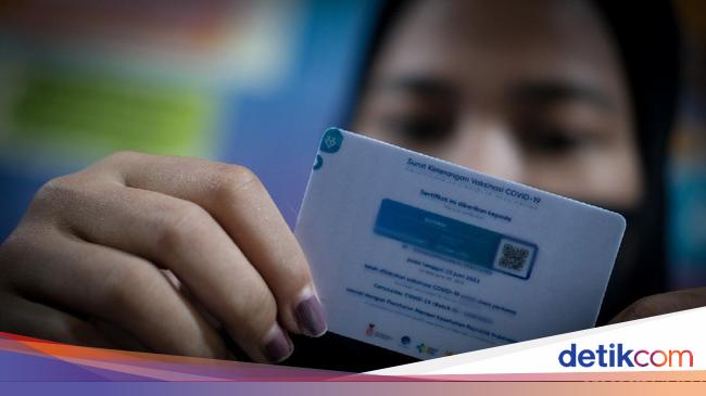 Terbaru! Cara Cek Sertifikat Vaksin COVID-19 untuk Anak