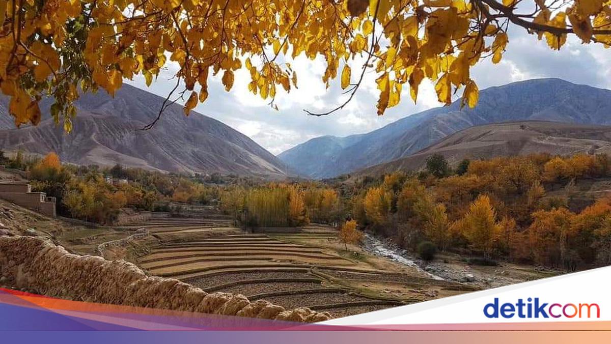 Mengenal Lembah Andarabi, Kampung Halaman Penyanyi Afghanistan Fawad ...