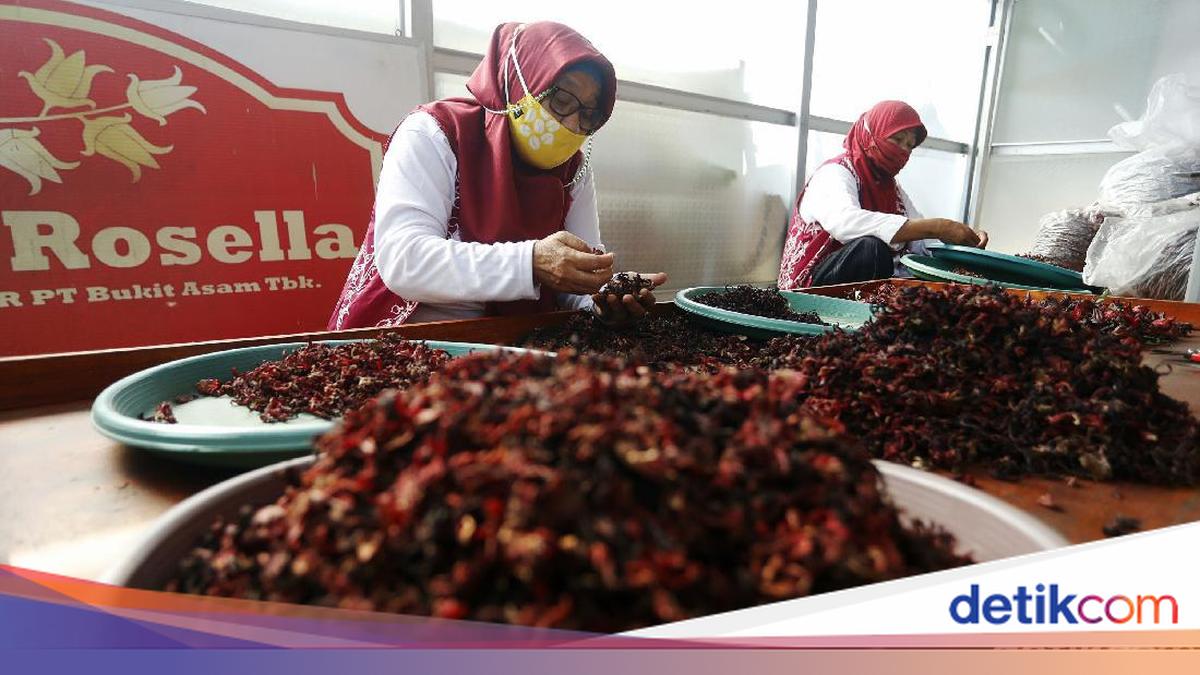 Minum Teh Rosella Setiap Hari? Ini 10 Manfaatnya untuk Kesehatan