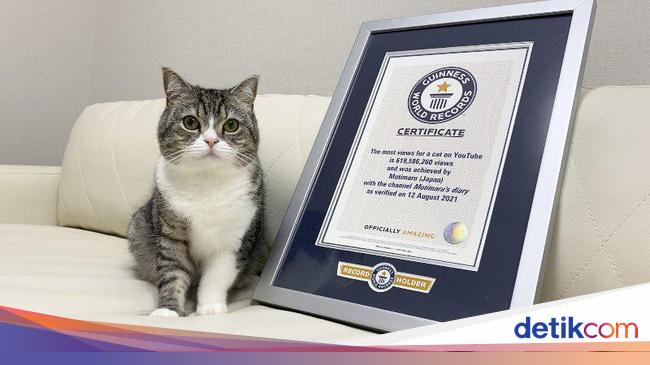 Kucing Gemoy Ini Tenar di Youtube dan Pecahkan Rekor Dunia