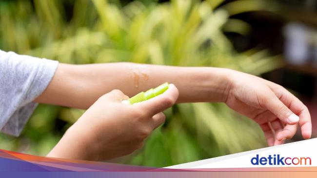 Tips Mencegah dan Mengatasi Demam Berdarah